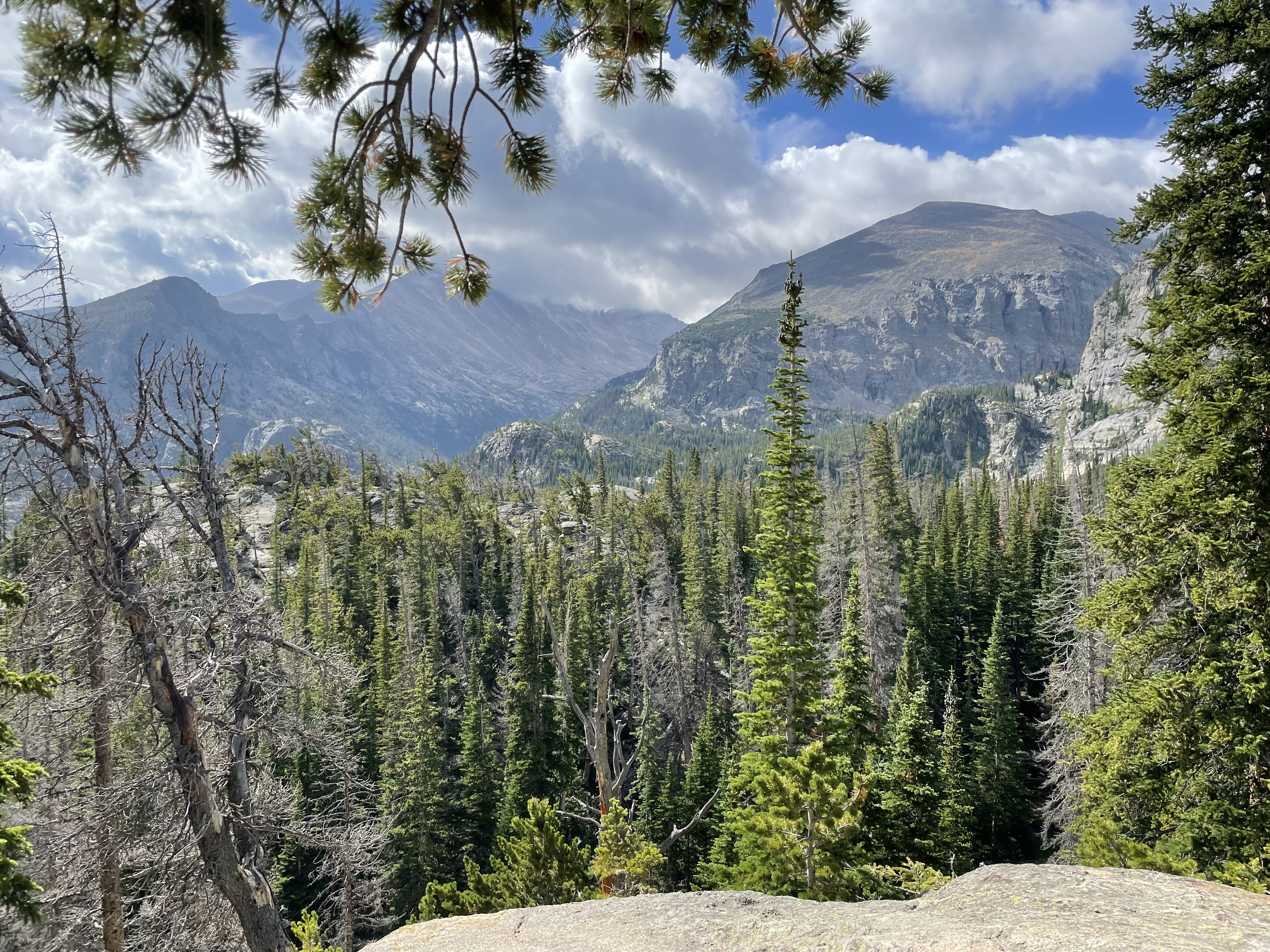 What is the Difference between Healing Touch and Reiki? | Brahmaloka ...